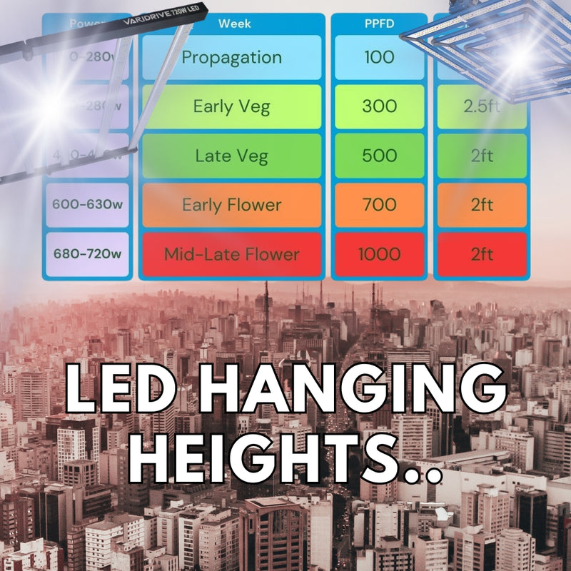 A Guide to LED Hanging Heights – Hytec Horticulture