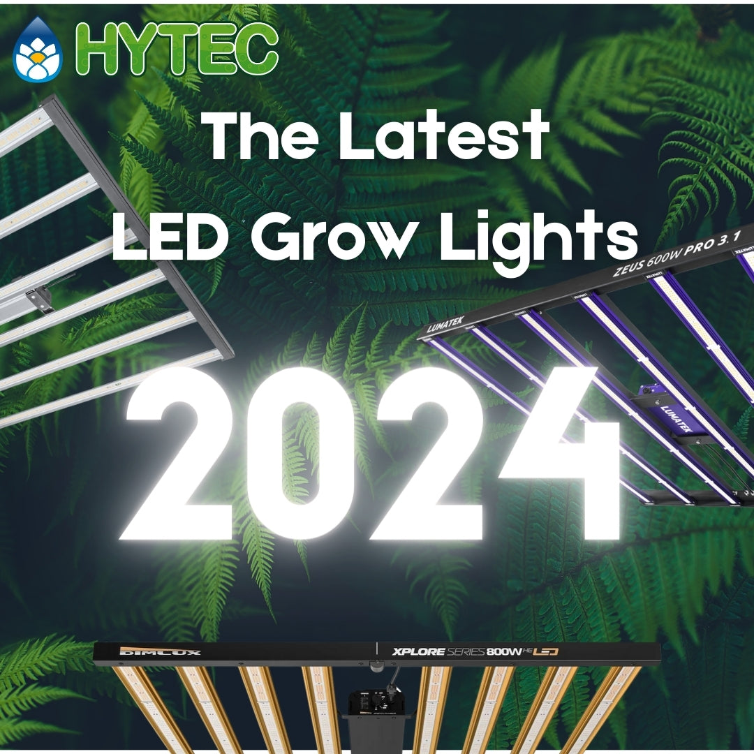 Latest LED Grow Lights for 2024 – Hytec Horticulture