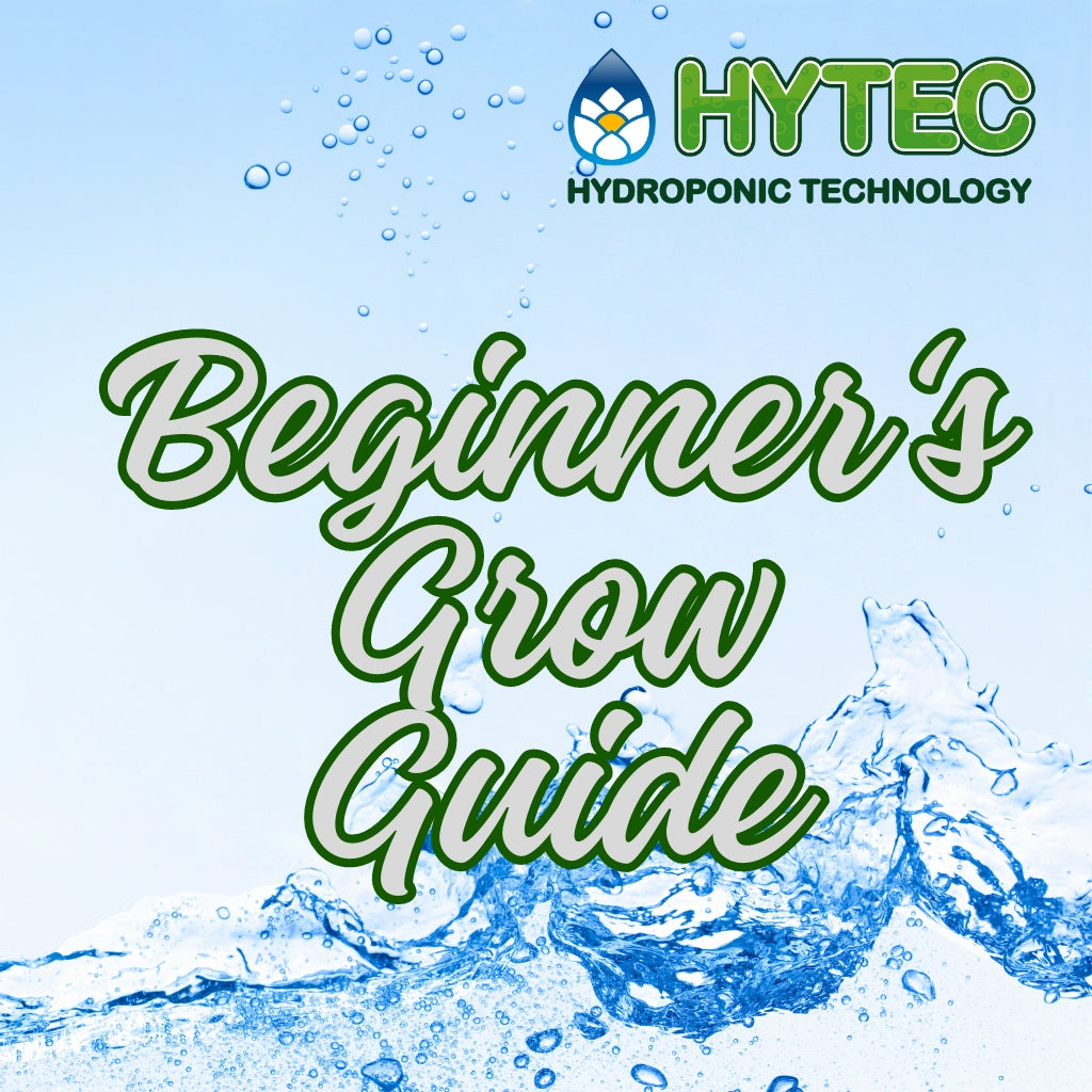 Beginners Grow Guide – Hytec Horticulture