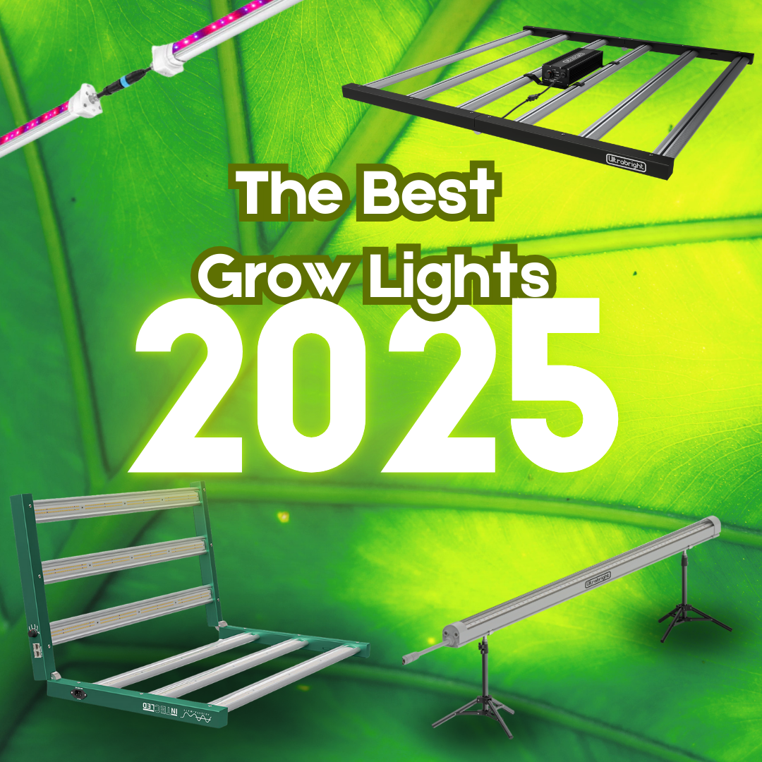 Latest and Best LED Grow Lights for 2025 – Hytec Horticulture