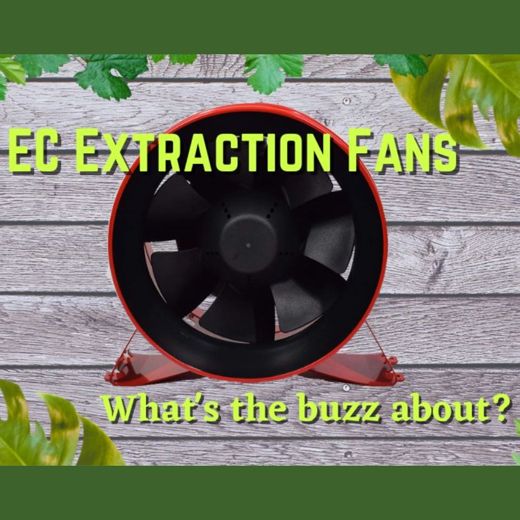 EC Extraction Fans - What's all the Buzz About? – Hytec Horticulture