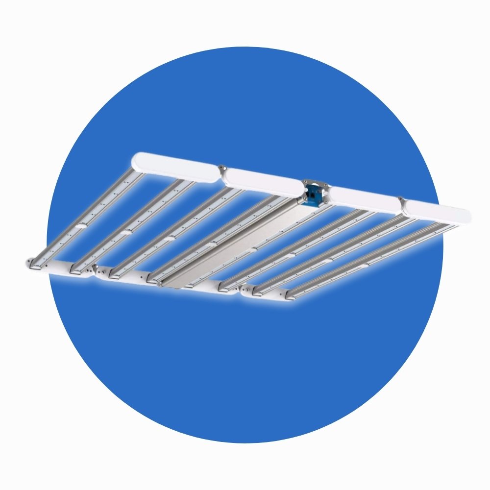 Dutch Lighting Innovations - Quality LED Grow Lights – Hytec Horticulture