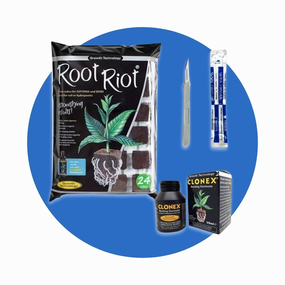 Full Propagation Kits for Clones & Cuttings | Hytec Hydroponics – Hytec ...