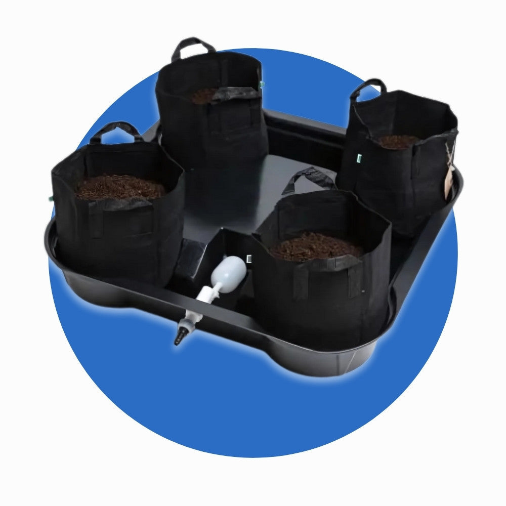 MegaPot - Self Watering Growing System | Hytec Hydroponics – Hytec ...