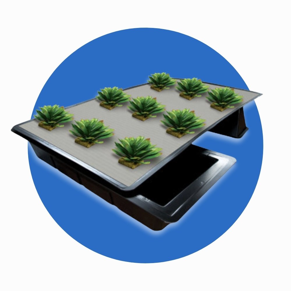 Multiduct NFT Hydroponics Grow Systems | Hytec Hydroponics – Hytec ...