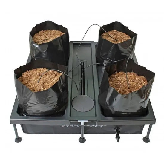 Bloomroom Flexi 4 Pot System Grow System | Hytec Hydroponics – Hytec ...