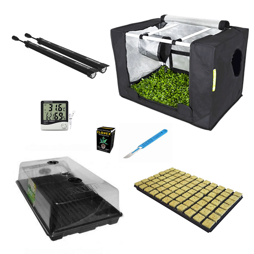 Complete Propagation Clones and cuttings Tent Kit | Hytec Hydroponics ...