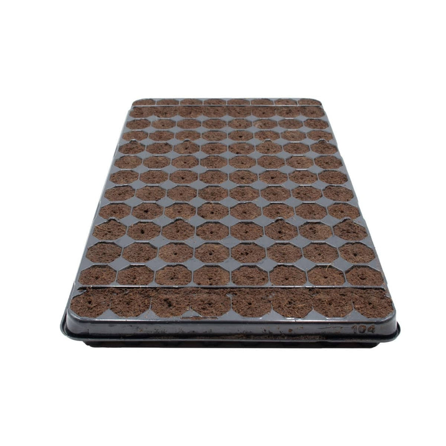 Plug Life Wood Fibre Coco 25/75 Propagation Clone Trays | Hytec ...