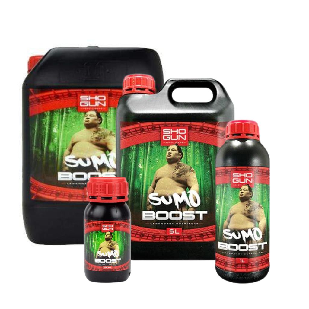 Shogun Sumo Active Boost - Bloom enhancer - Yield Gainer | Hytec ...